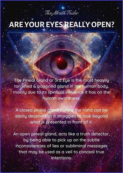 5 Effective Ways To Open Your Pineal Gland And Remove Third Eye