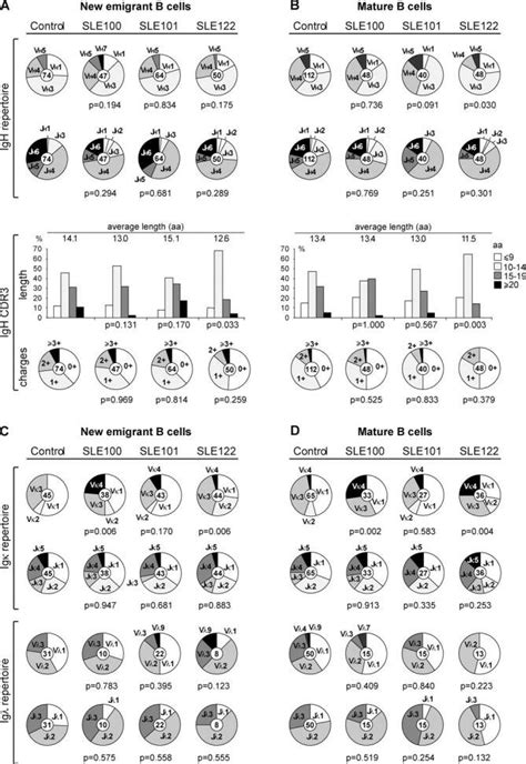 Igh And Igl Chain Sequence Features Igh V And J Gene Repertoire Cdr3