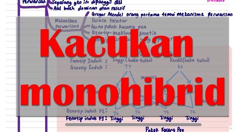 Sains Tingkatan 4 Bab 6 3 Matematik Tingkatan 1 6 3 3 Penyelesaian