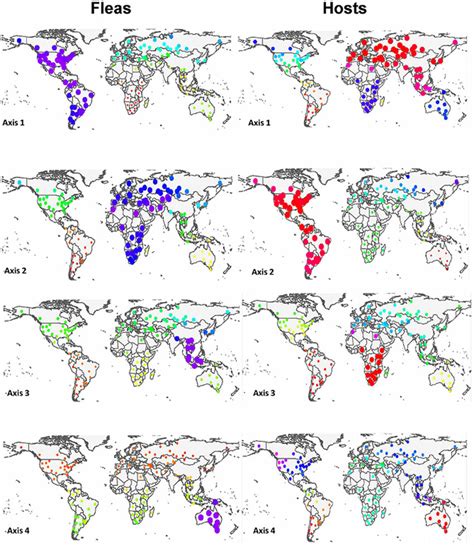 Distribution Of Regional Flea And Host Assemblages Across The Globe