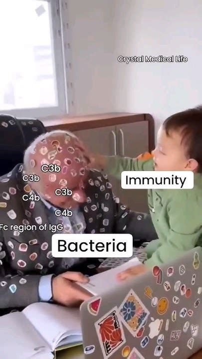 Opsonization Marks Pathogens For Phagocytosis Using Igg C3b And Igg Neetpg Immunology Youtube