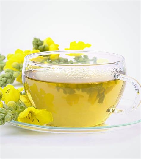 Mullein Tea In Spanish At Andrea Mcclelland Blog