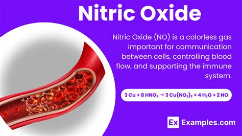 Nitric Oxide No Definition Structure Preparation Properties Uses Side Effects