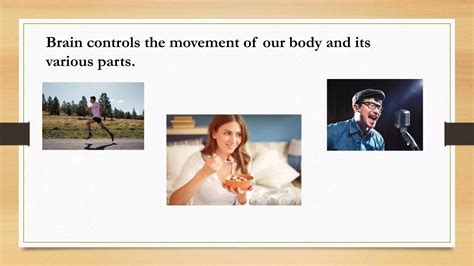 Nervous System Class V Pptx Nervous System Class V Pptx