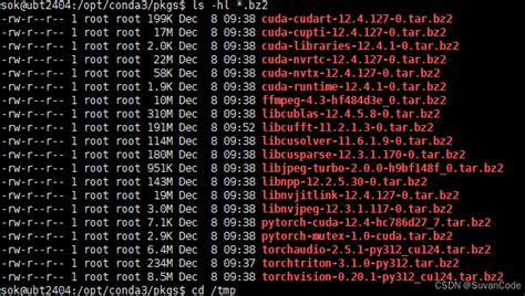 06安装pytorch Csdn博客
