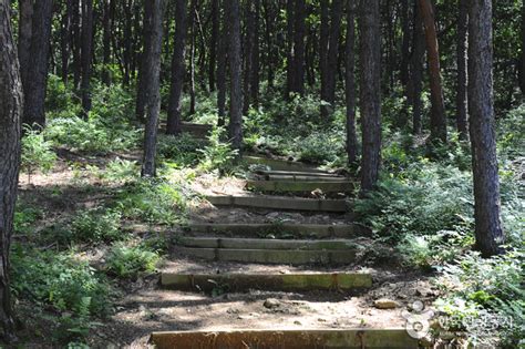 문수산산림욕장