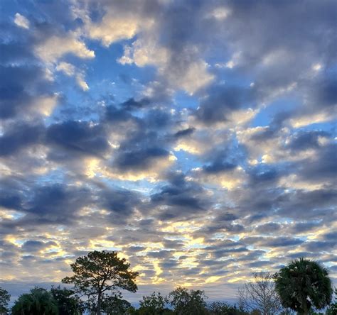 Morning Sky Over Silver Springs Shores In Ocala Ocala
