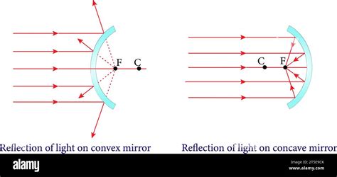 The Reflection From Convex And Concave Mirrors Reflection And Spherical Mirrors Optics Vector