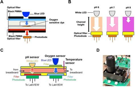 Optical Dissolved Oxygen Sensors At Joshua Allingham Blog
