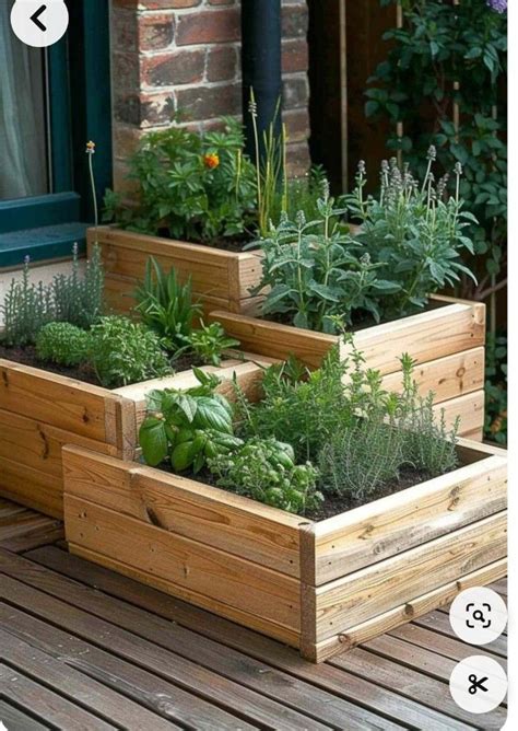 Пин от пользователя Clare Huisamen на доске 12 Gloucester в 2025 г Идеи посадки растений Идеи