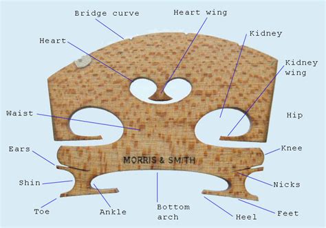 Violin Bridge Template Williamson Ga Us