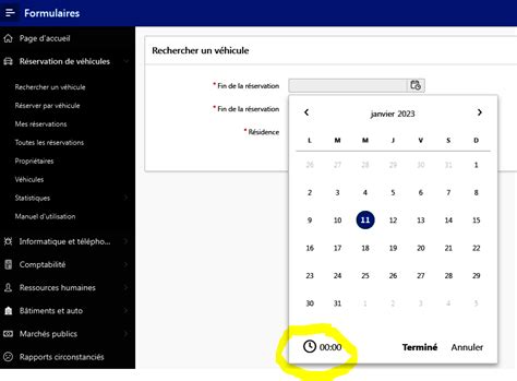 Date Picker Not Showing Time Oracle Forums