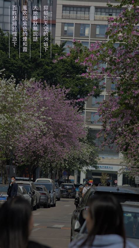 经典 Libbpf 范例 Bootstrap 分析 Ebpf基础知识 Part3 Mark Zhu 的博客