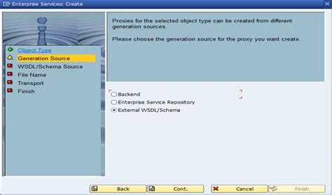 Web Services Consumer Proxy Sapcodes