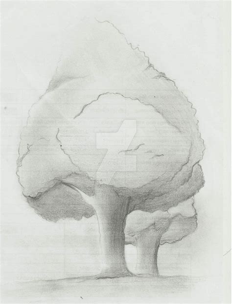 Realistic Tree By Haruka Chan11 On DeviantArt Realistic Tree By Haruka Chan11 On DeviantArt