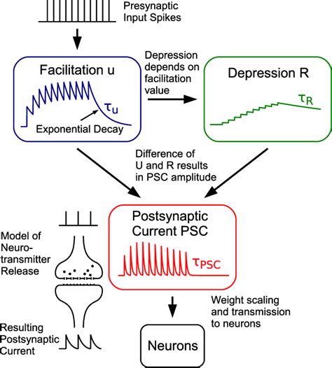 Figure 1 From A Biological Realtime Neuromorphic System In 28 Nm Cmos Using Low Leakage Switched