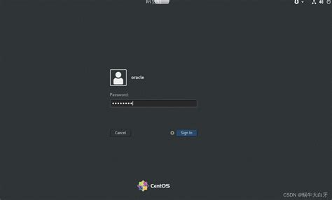 Centos安装oracle 19c 数据库（保姆级别）centos安装oracle19c Csdn博客