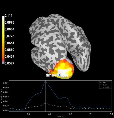 Tutorial Part 2 Rsa On Source Level Meg Data — Mne Rsa 10 Dev