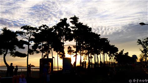 자유 휴식 행복