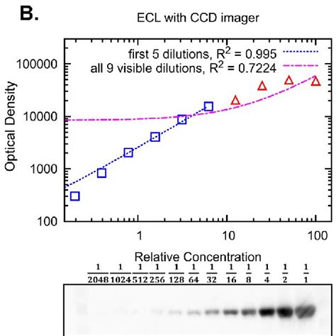 Pdf Western Blot Normalization Challenges And Considerations For Quantitative Analysis