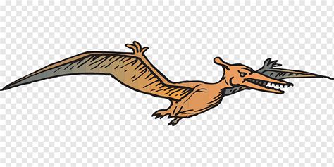 새 플 라 잉 날개 공룡 고 대 익 룡 비행 Png Pngwing