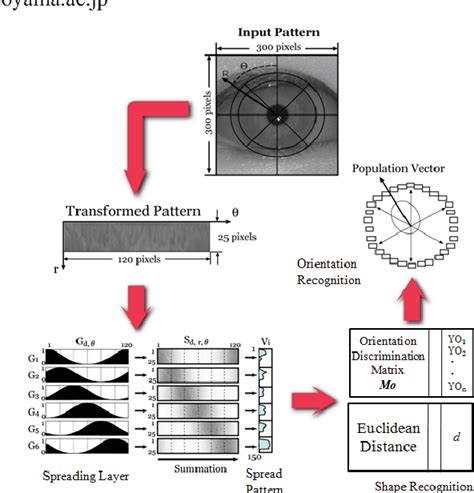 Figure 1 From Rotation Independent Iris Recognition By The Rotation
