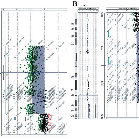 Array Comparative Genomic Hybridization Results For Patient 1 A De Download Scientific