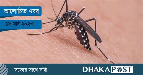 মশার পেটে কোটি টাকা