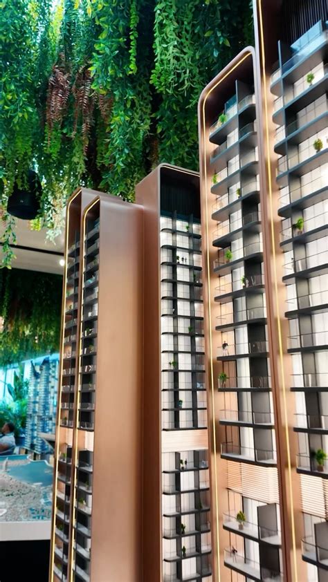 Tiger Properties Tigerpropertiesae • Instagram Photos And Videos