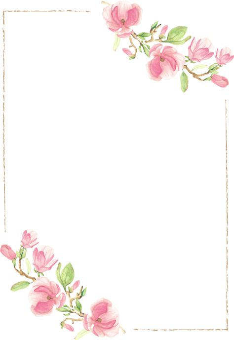 Blooming Magnolia Flower Branch Frame 19639179 PNG