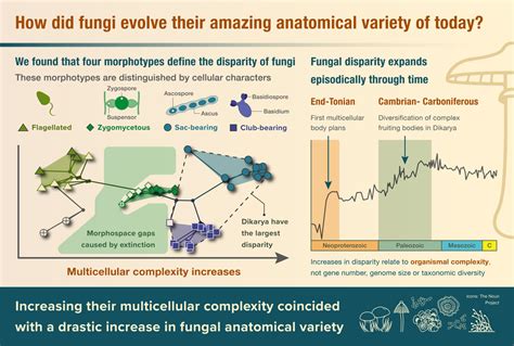 Graphical Abstracts — Science Graphic Design