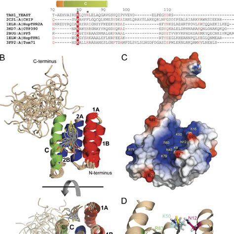 Tah1 Solution Structure A Alignment Of Yeast Tah1 With Tpr Domains