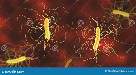 Clostridium Difficile Bacteria Royalty Free Cartoon 89599379