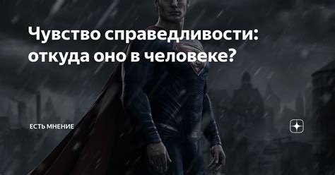Чувство справедливости откуда оно в человеке Есть мнение Дзен