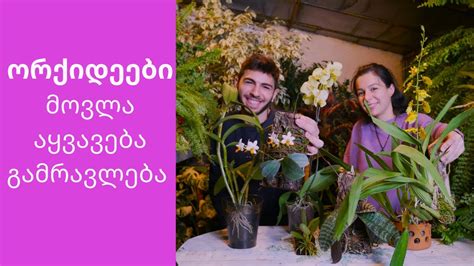 ორქიდეების მოვლა Youtube