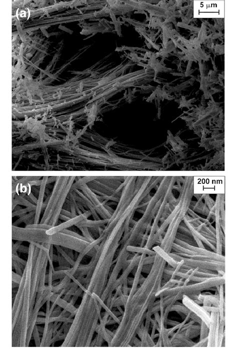FESEM Images Of CeO 2 0 8 Fibers Calcined At Different Temperatures Download Scientific