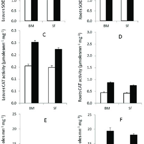 Antioxidant Enzymes Activities In The Leaf A C E And Root B D F Download Scientific