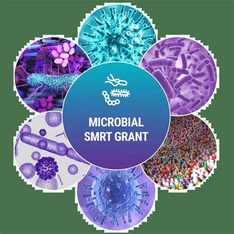 申请 Smrt Grants Pacbio