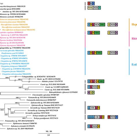 Jia Yong Zhang Professor Full Phd Zhejiang Normal University Jinhua Institute Of