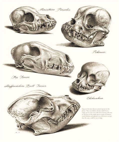 Unnatural Selection Veldshopnl