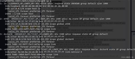 linux 命令 查看网络端口命令 linux查看所有运行的socket端口 csdn博客