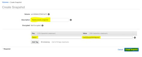 How To Delete Ebs Snapshots From Aws Account Using Shell Script Automate Infra