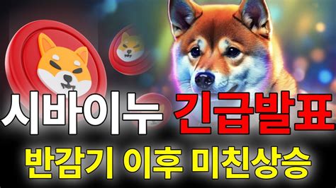 시바이누 반감기 앞두고 시바이누는 더 상승합니다 잠깐의 조정일뿐 시바이누분석 시바이누 도지코인 알트코인 비트코인 코인 Youtube
