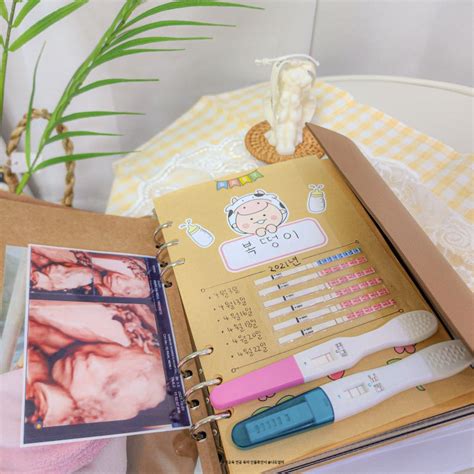 임신테스트기 사용시기 임테기 아침 저녁 희미한 두줄 오류 정확도 네이버 블로그