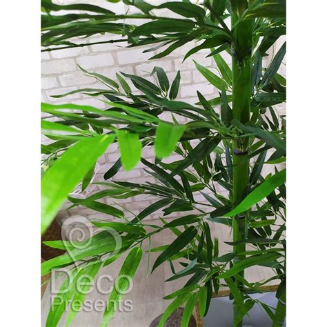 Бамбуковое дерево №215 с двумя стволами купить в Украине