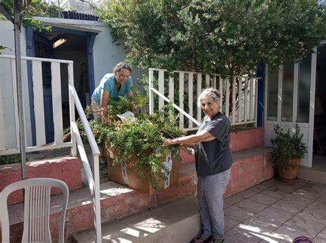 Lifelong Friends Cultivate Their Roots In Greek Classrooms