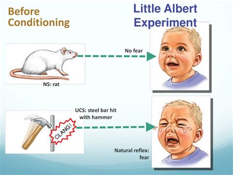 Ppt Unit 3 Learning Memory And Intelligence Teacher N Dhalla Powerpoint Presentation Id