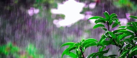 降温又降雨！重庆中心城区最高气温仅23℃大部地区