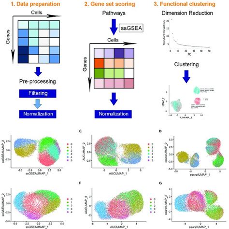 Detection Of Heterogeneity Of Hadscs By A New Functional Clustering