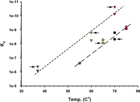 The Correlation Between Kd Values Characterizing The Interaction Of Download Scientific Diagram